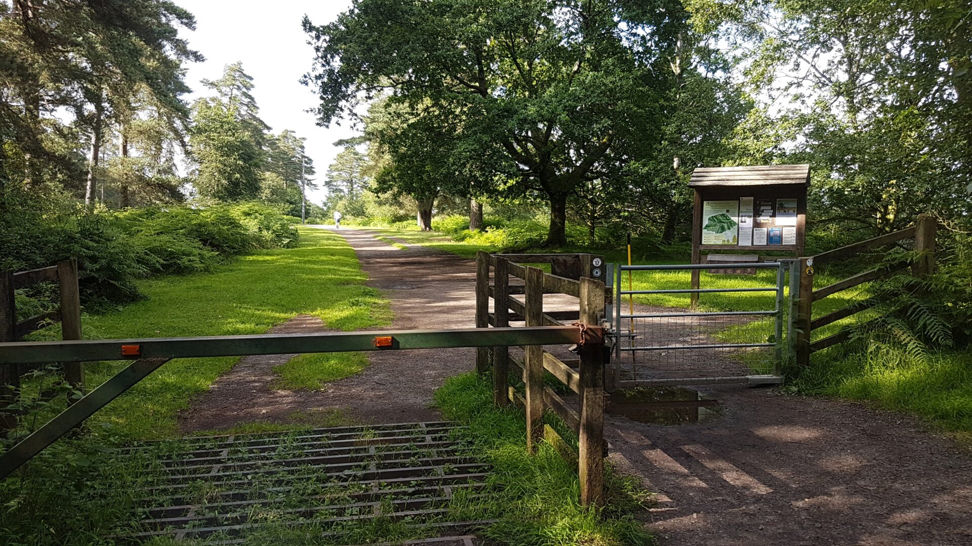 Walks & Map - The Blackdown & Hindhead Supporters Of The National Trust